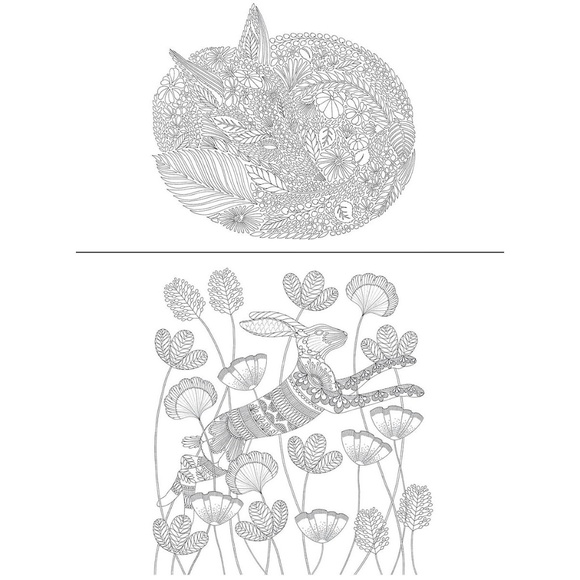 Lark Crafts | Office | New The Intricate Animal Kingdom Coloring Book ...